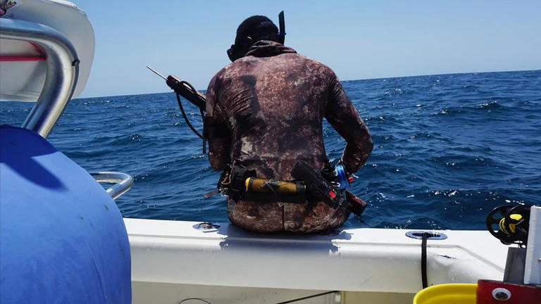 Spearfishing trip ends in death after brutal shark attack