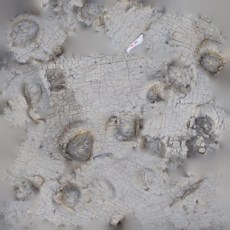Giant dinosaur footprints in Mongolia reveal a lost predator-and-prey ...