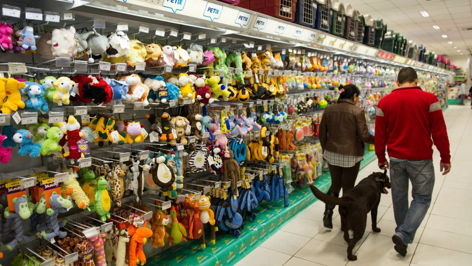Pet parents are going custom for their furry friends