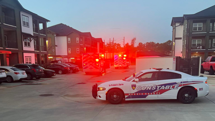 HCSO: Suspect charged after man and woman found dead with gunshot ...