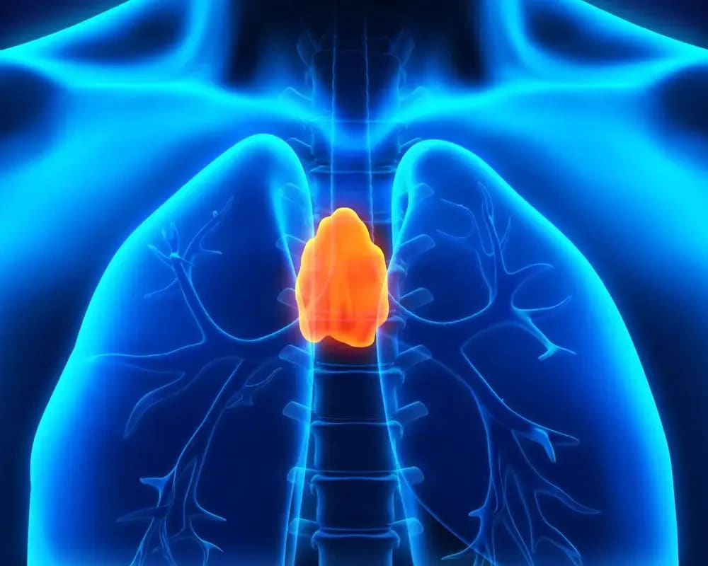 The organ doctors thought was useless turned out to be critical to health