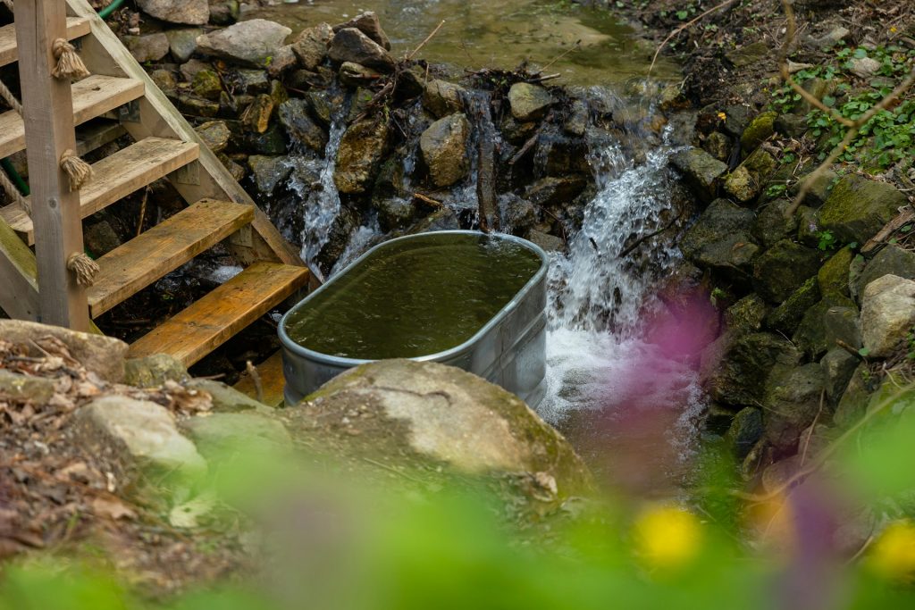 Joys of installing a backyard cold plunge