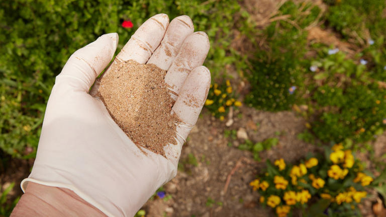 Give cucumber plants a major nutrient boost with a natural fertilizer