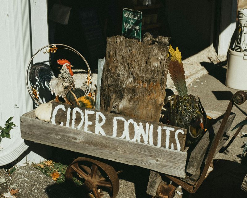 The Oregon farm market where homemade pies and donuts steal the show