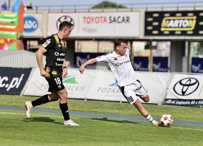 Betclic 1. liga. Strzelecki popis Stali Mielec na zakończenie sezonu ...