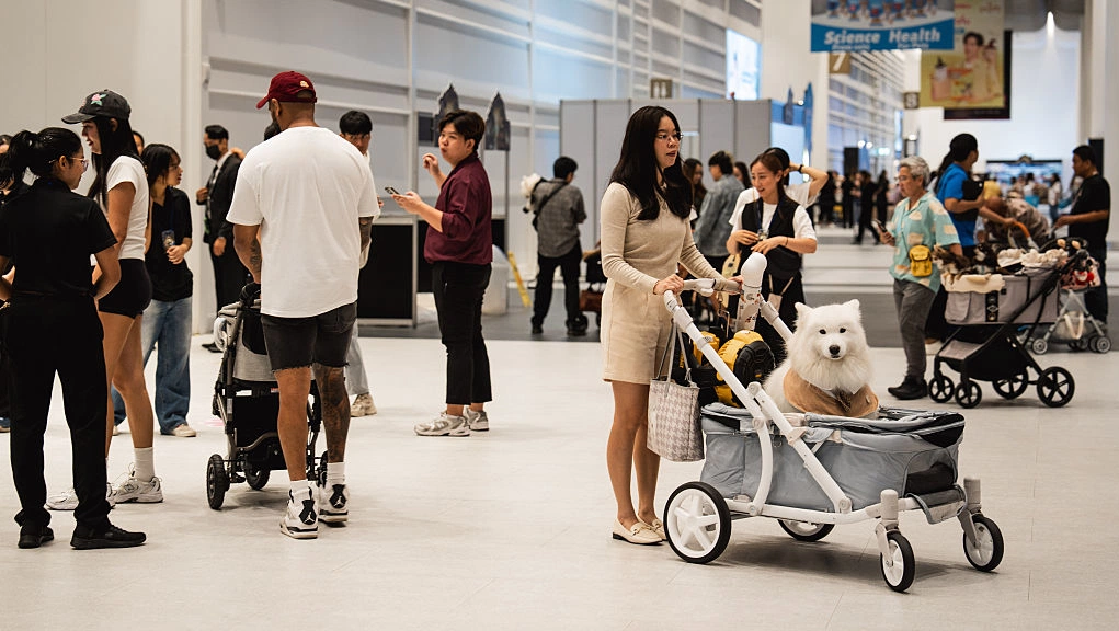 Pet parents are going custom for their furry friends
