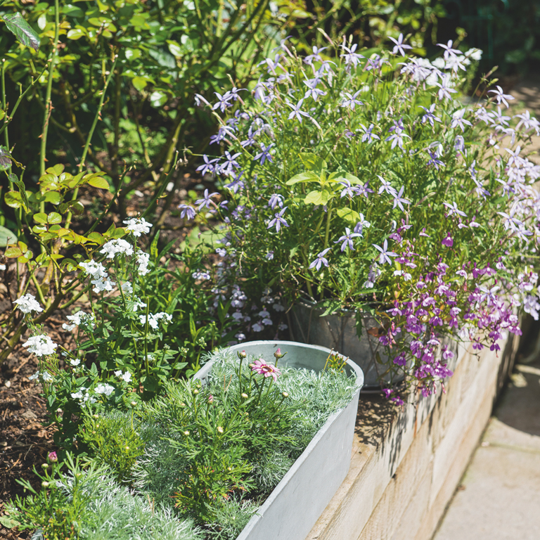 5 things you should never put in a compost bin following new garden ...