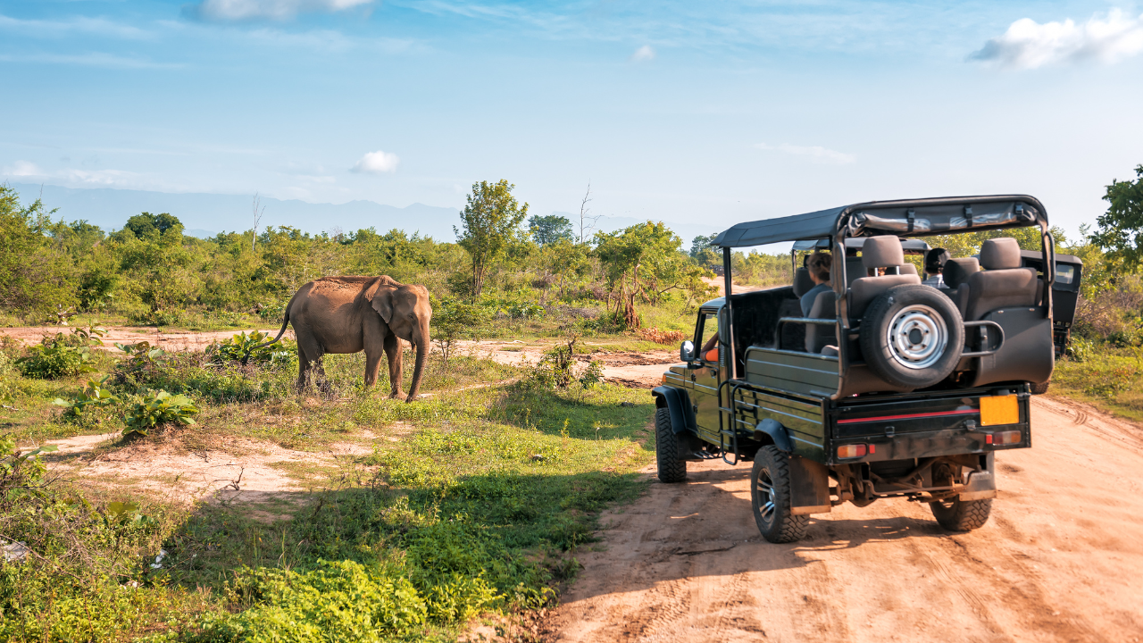 10 underrated wildlife destinations in Asia that are less crowded than ...