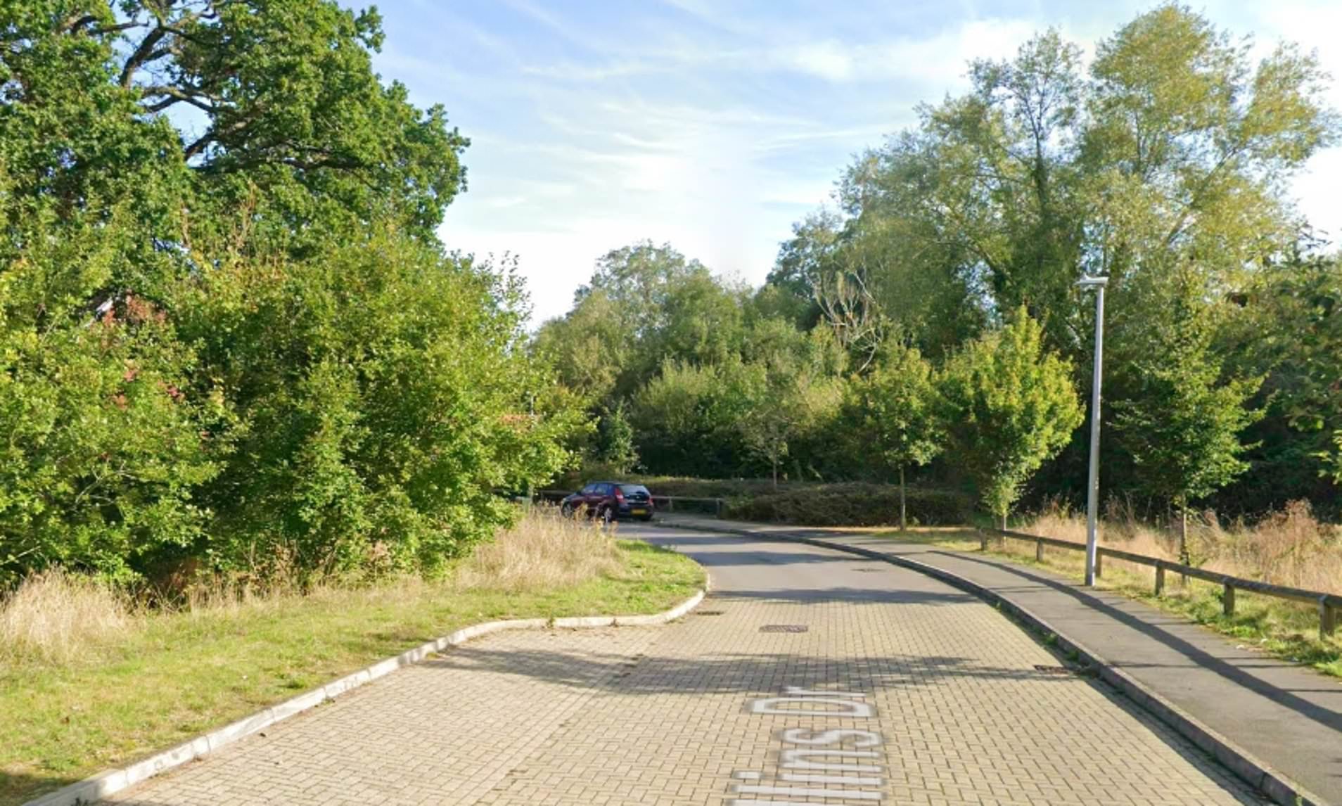 Man in his 20s dies after being stabbed in an alleyway as teenage boy ...