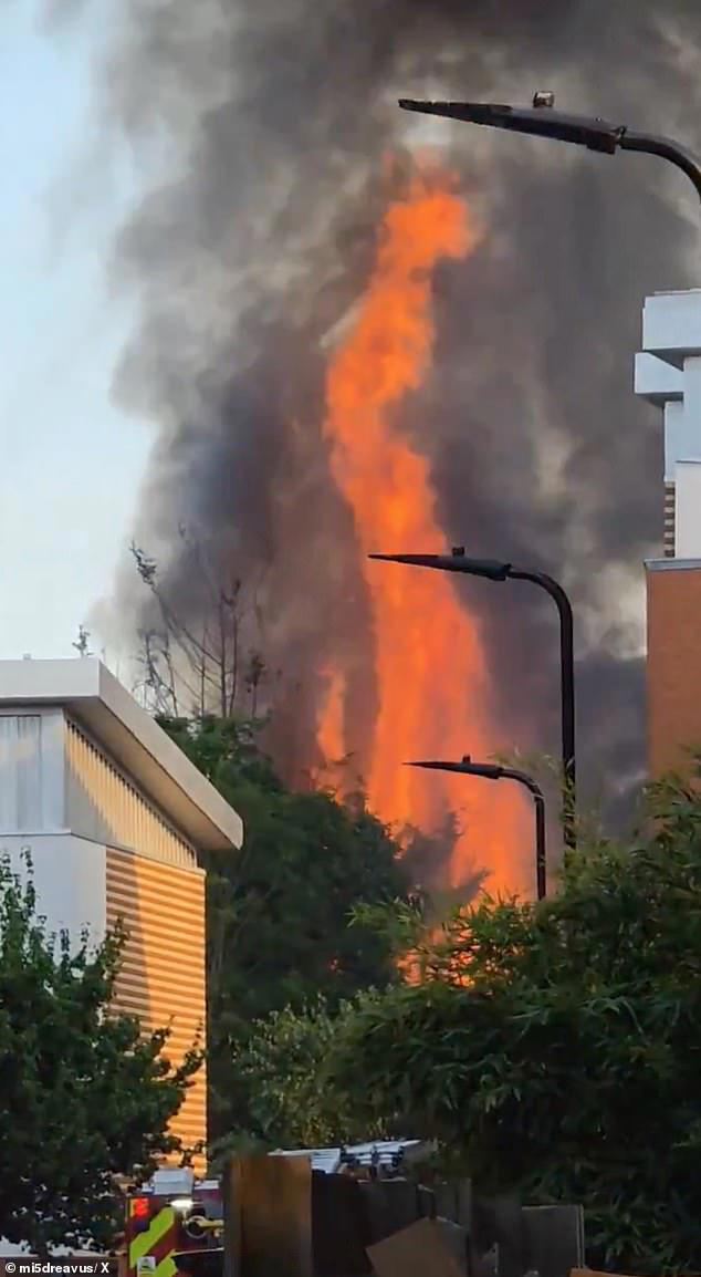 Rail chaos in London as enormous fire breaks out beside tracks ...