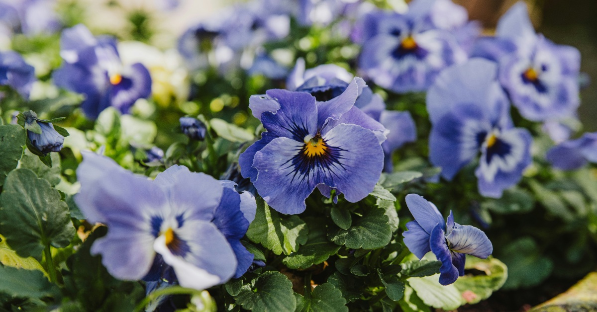 You can visit a park and garden in NYC where all the plants are gay
