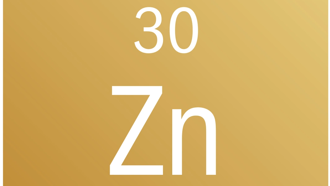 Zinc essentials for a healthier you