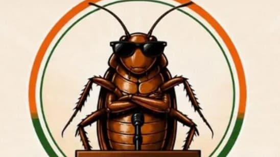 'Cockroach' keeps up the crawl across states amid police action, BJP ...