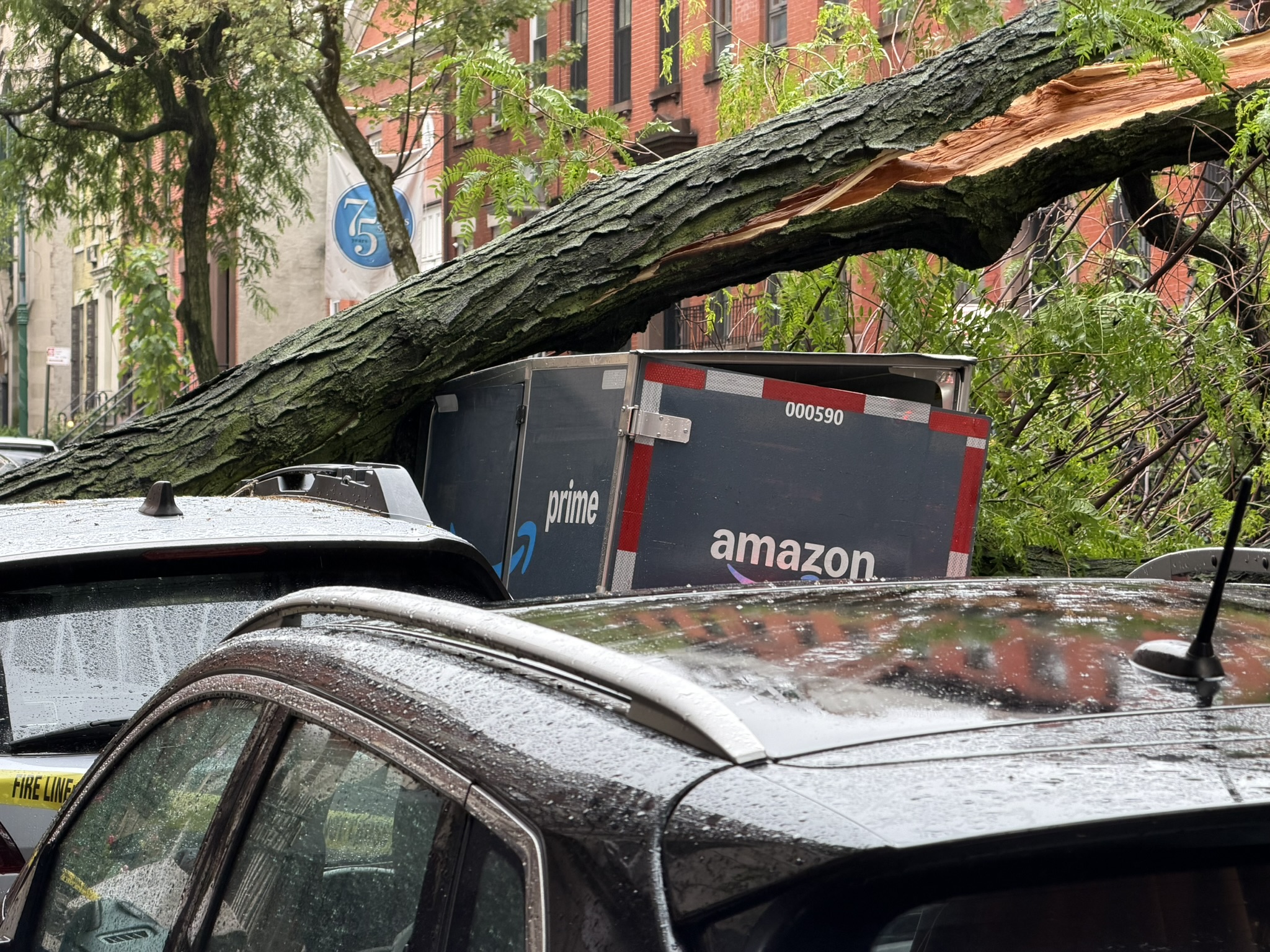 “It sounded like a bomb going off”: Tree smashes into Amazon cargo bike ...