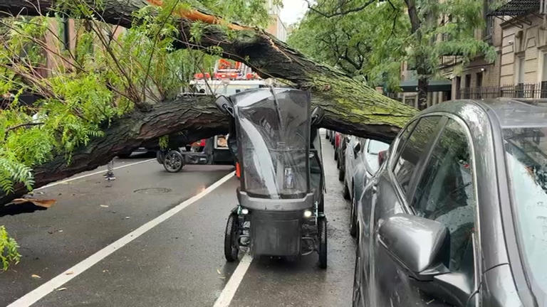 “It sounded like a bomb going off”: Tree smashes into Amazon cargo bike ...