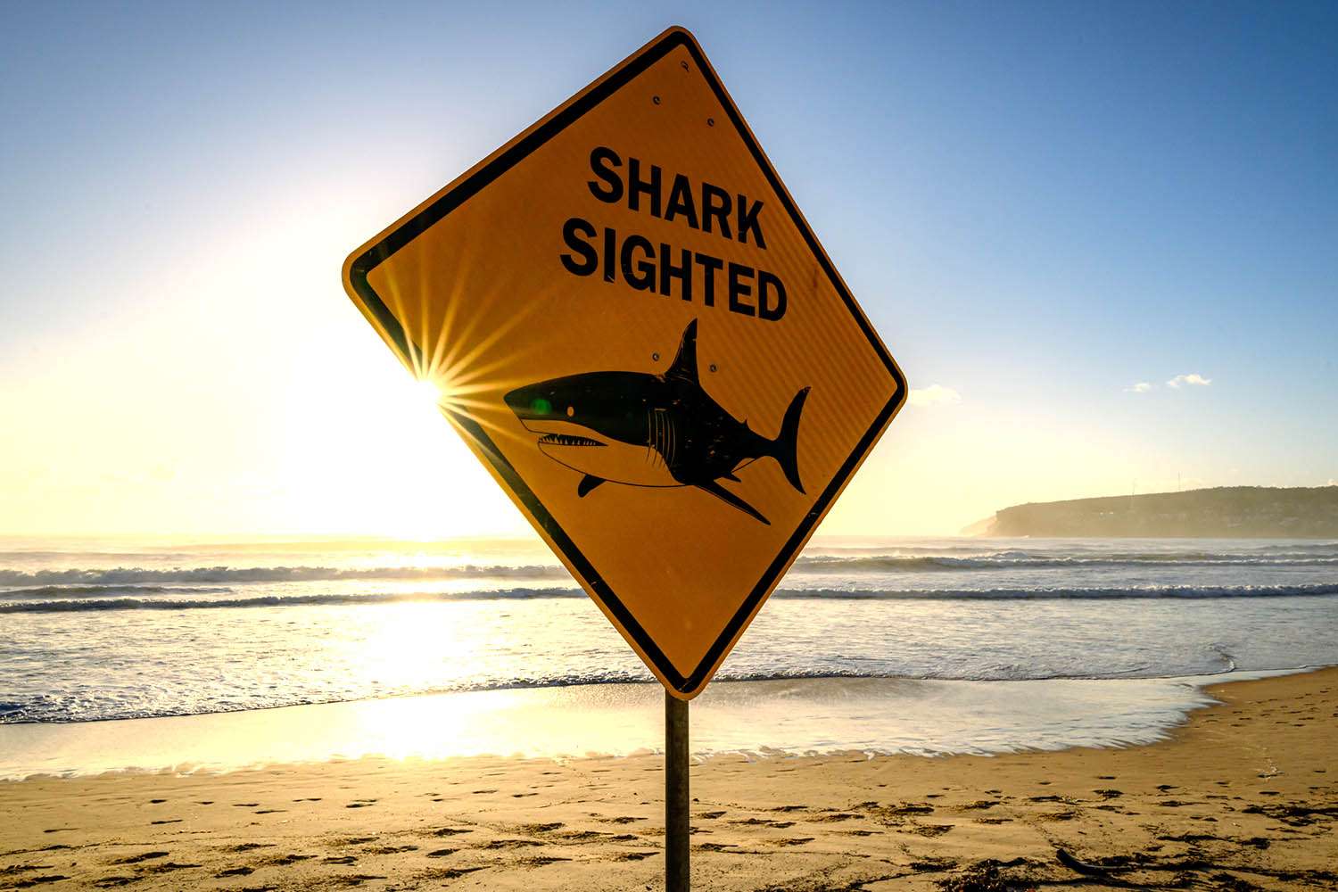 Man dies after shark attack on Australia’s Great Barrier Reef during ...
