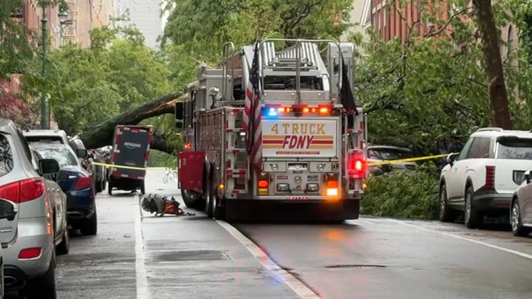 “It sounded like a bomb going off”: Tree smashes into Amazon cargo bike ...