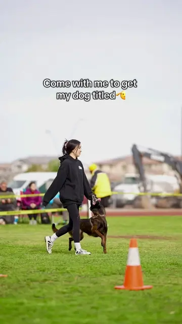 My protection dog earns her first trial title