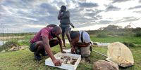 The Australian crayfish invading our rivers and threatening the ...
