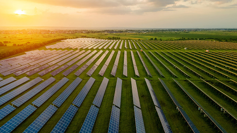US solar farms are doing a lot more than just generating energy