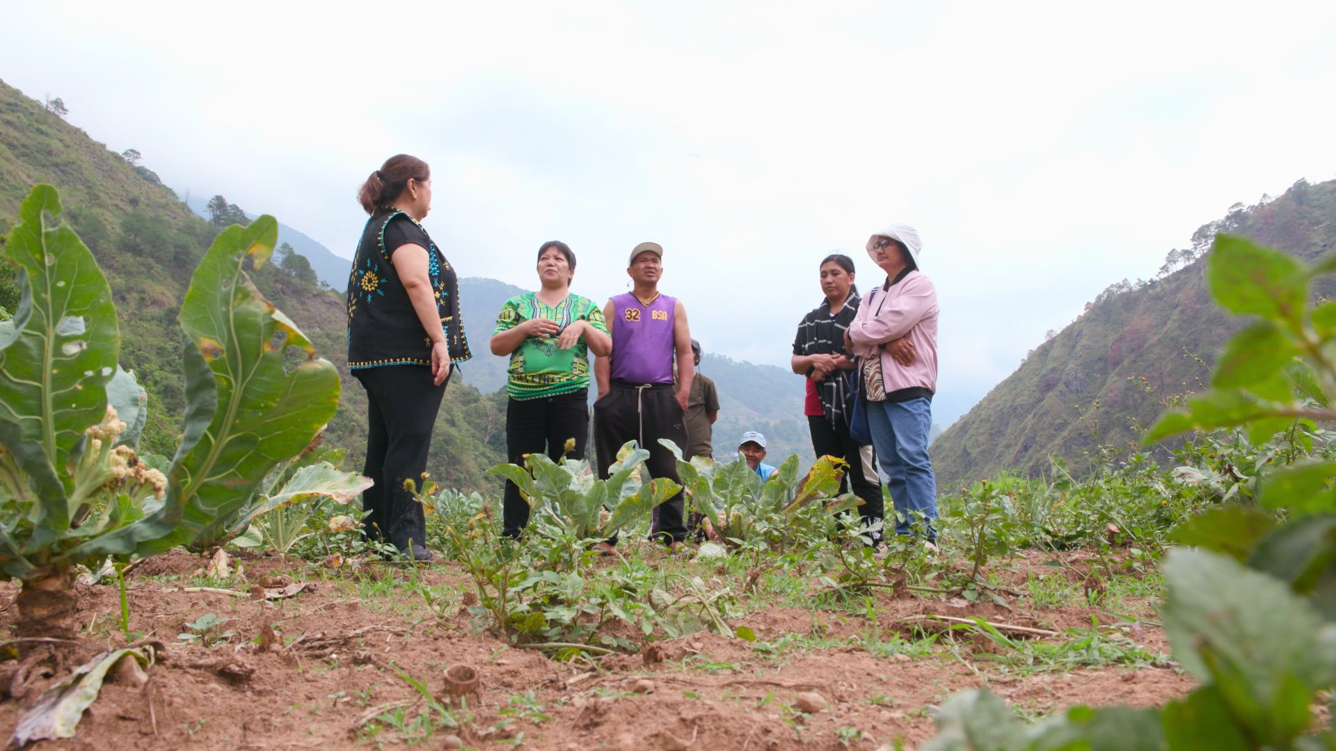 Benguet farmers struggle with low vegetable prices, oppose planned ...