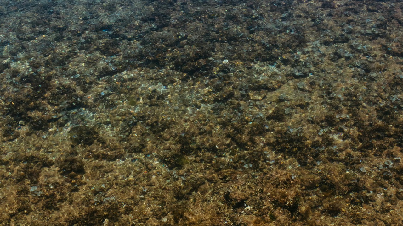 Researchers just revived microbes buried in rock beneath the seafloor ...