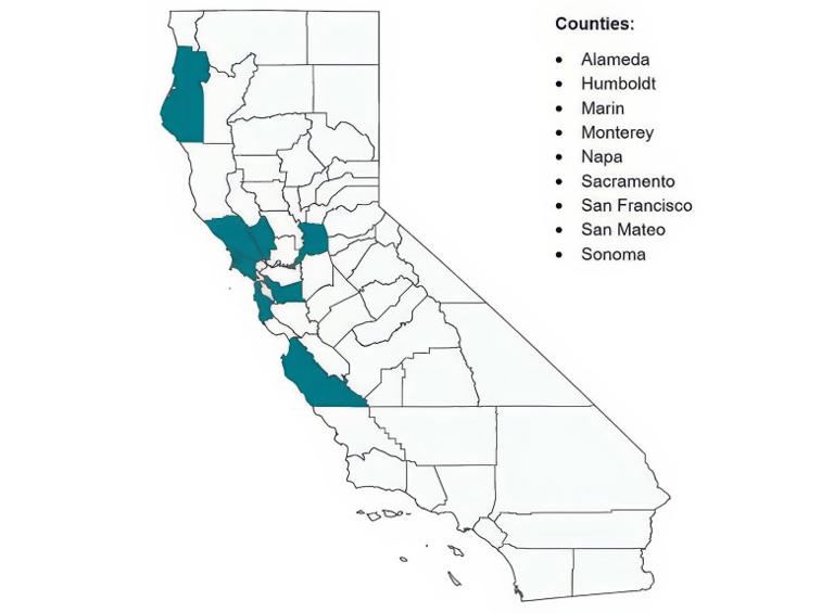 Wild mushroom poisonings spike in Northern California amid 'extremely ...
