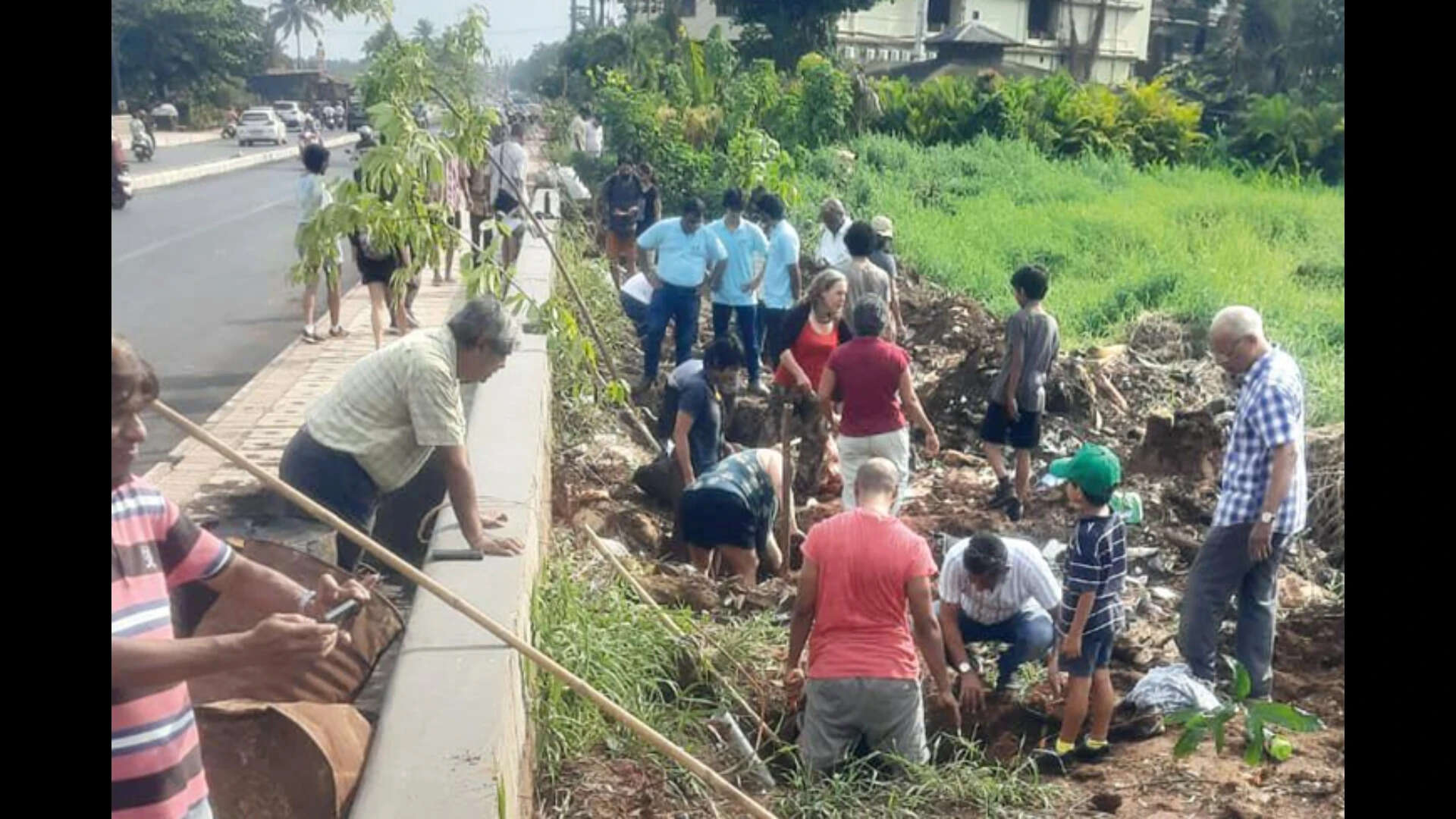 Green initiative: Over 100 volunteers plant 68 trees in Mapusa after ...