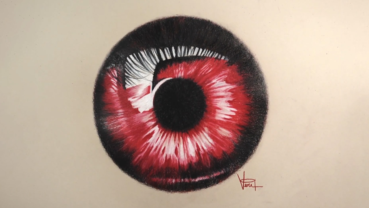 Easy realistic flower drawing: Red iris with beautiful color blending