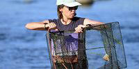 The Australian crayfish invading our rivers and threatening the ...