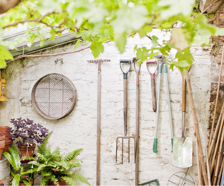 This pocket trowel is one of the most versatile gardening tools I've ...