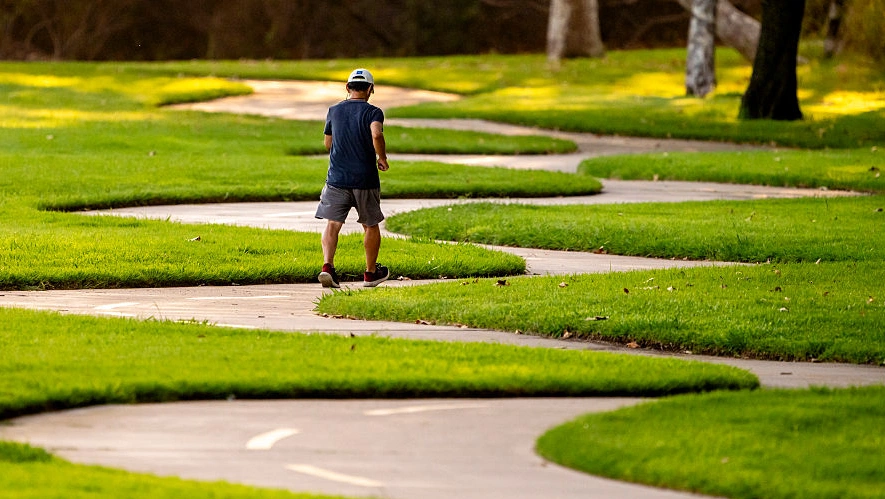 Why daily walking could change your life