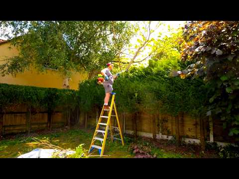 My mission: tidy up gardens in need!