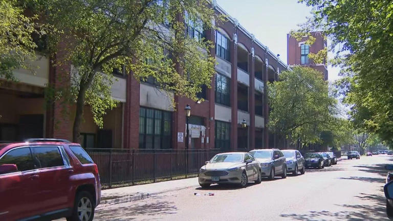 Boy, 2, dies after shooting himself in head in Chicago's Pullman community