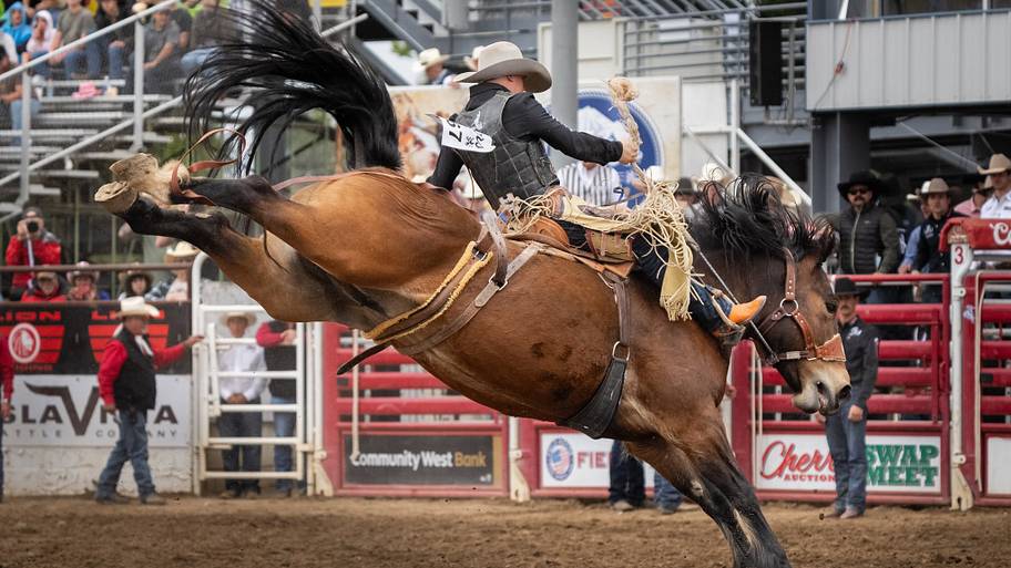 Western way of life embodied in 75th annual Miles City Bucking Horse Sale