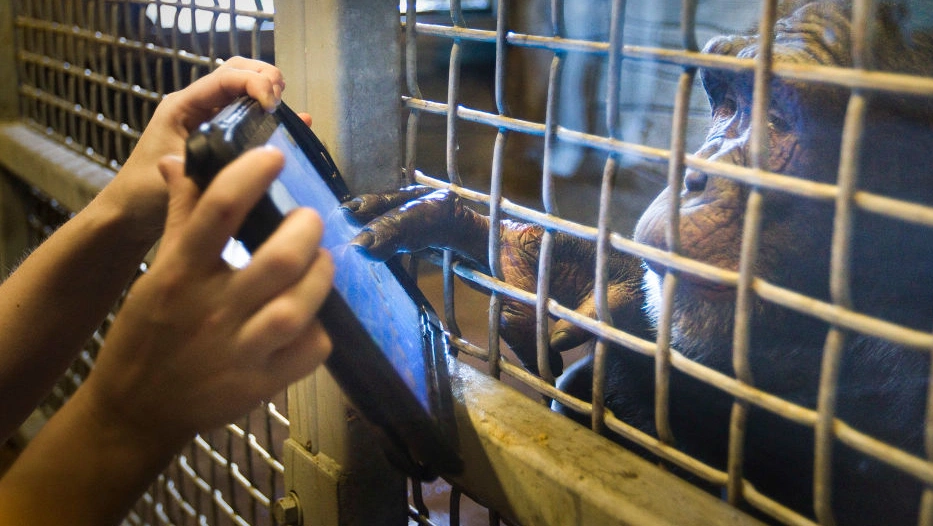 Inside zoos’ hidden battle for animal wellbeing