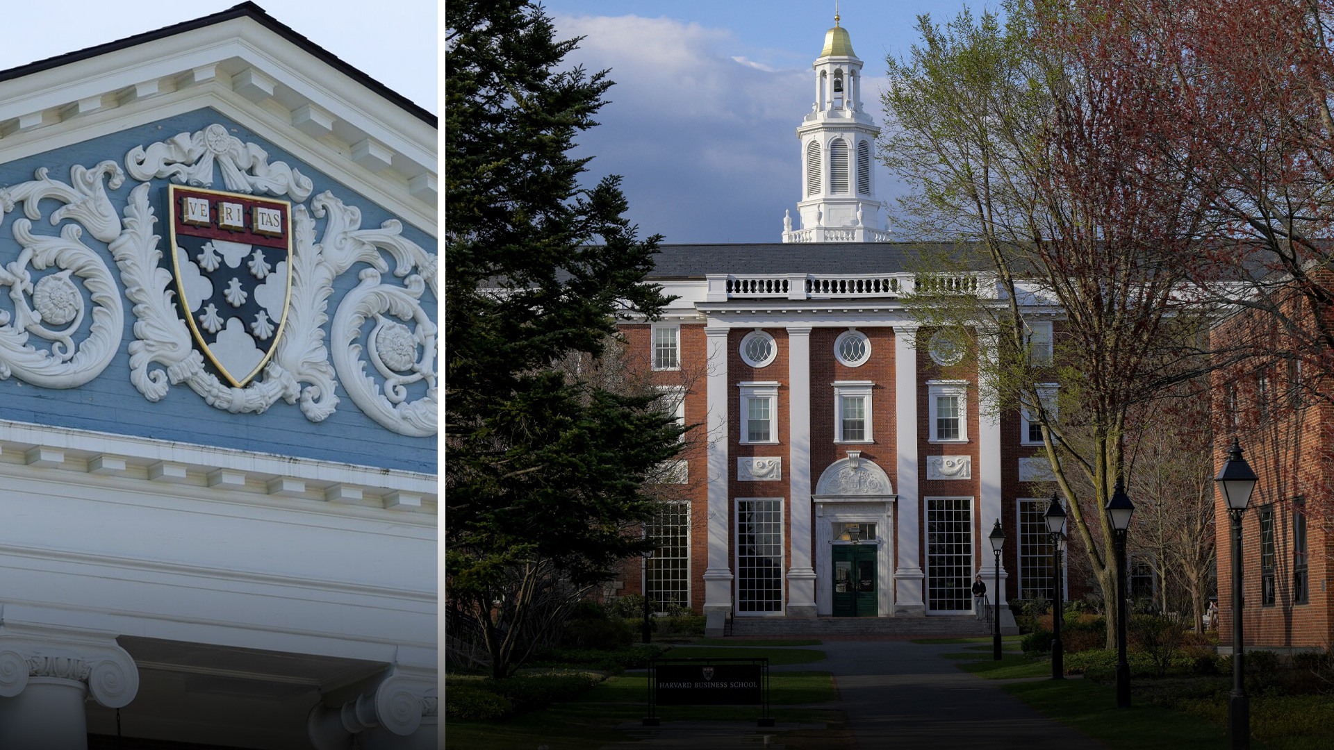 WSJ opinion: Harvard caps “A” grades for undergrads