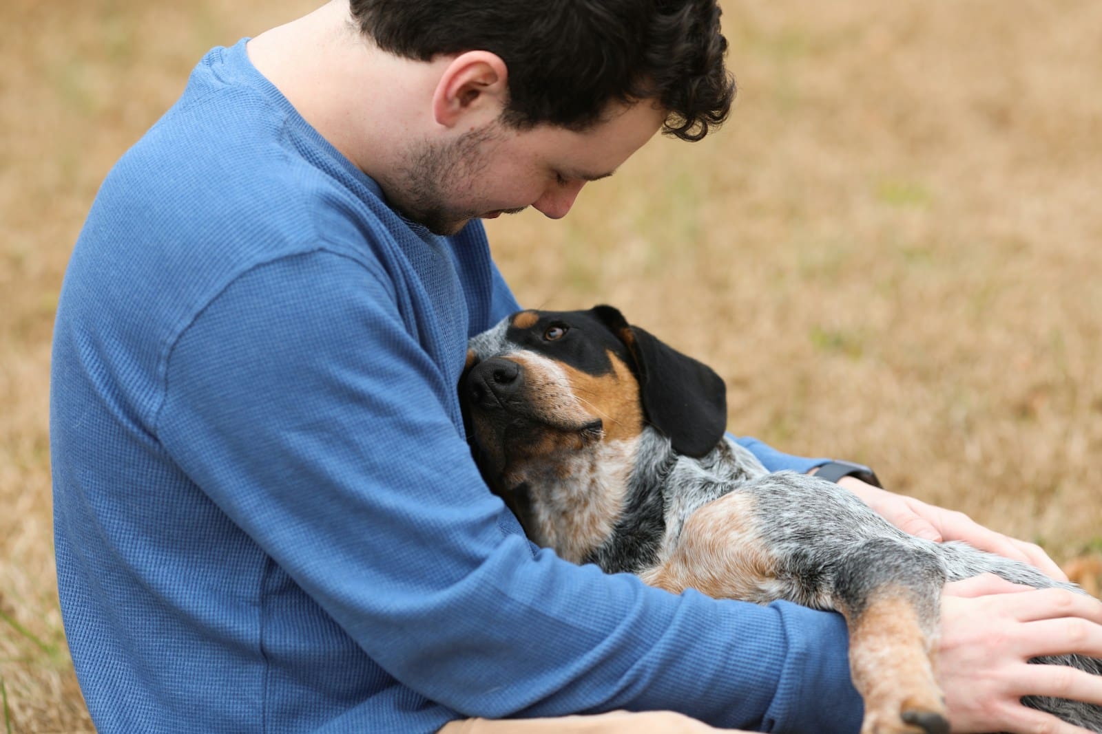 These common household items are toxic to pets