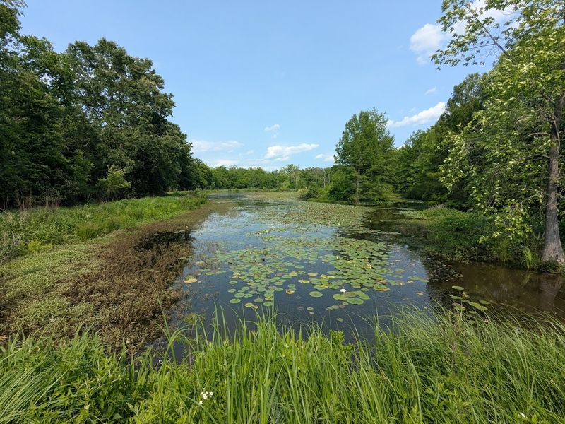 One of Missouri’s most beautiful botanical gardens, and hardly anyone ...