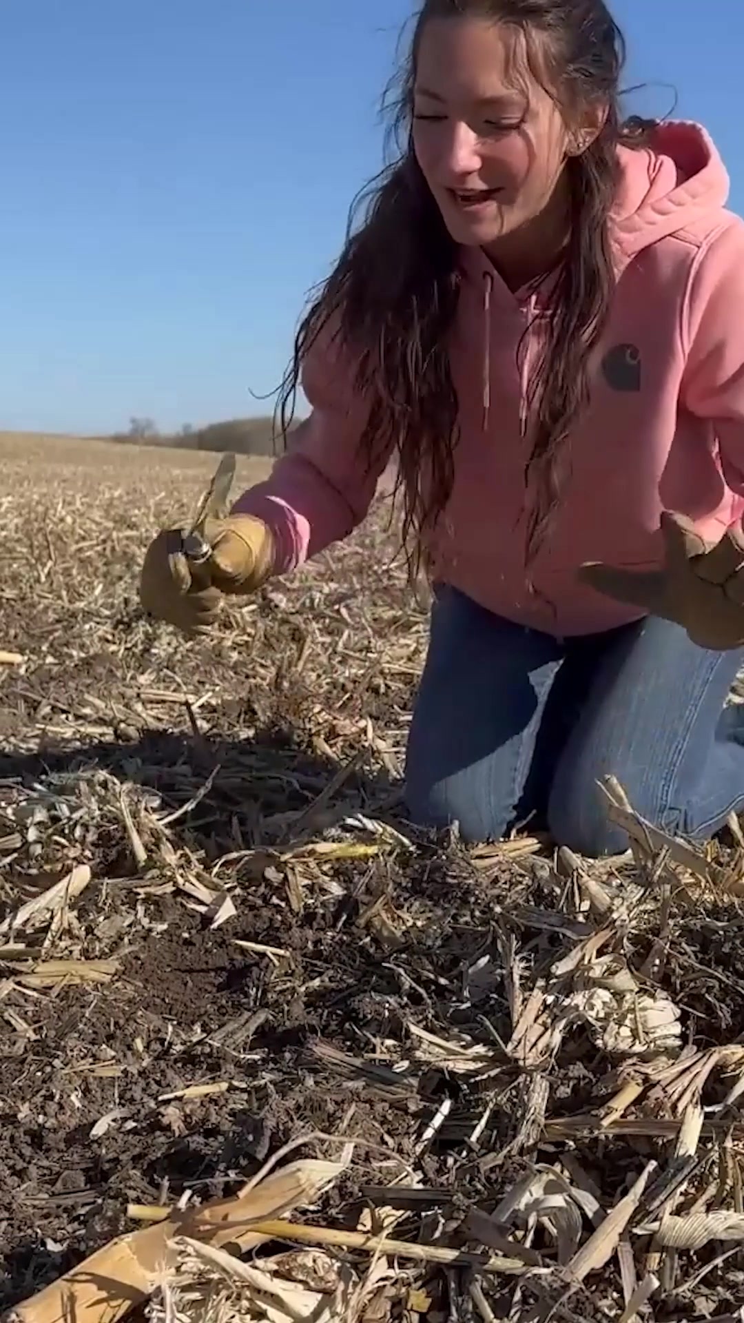 A beautiful day on the farm