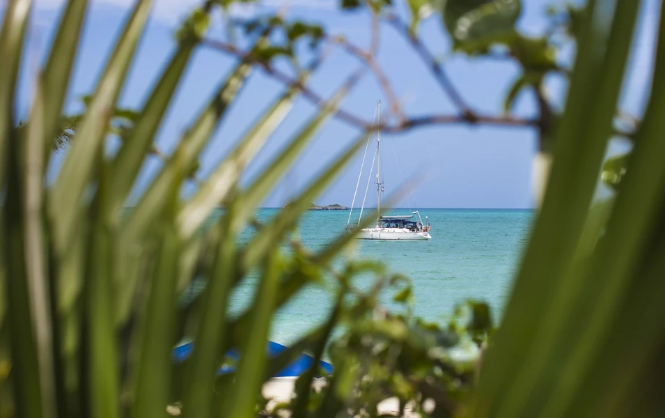 Why Cat Island should be your next escape