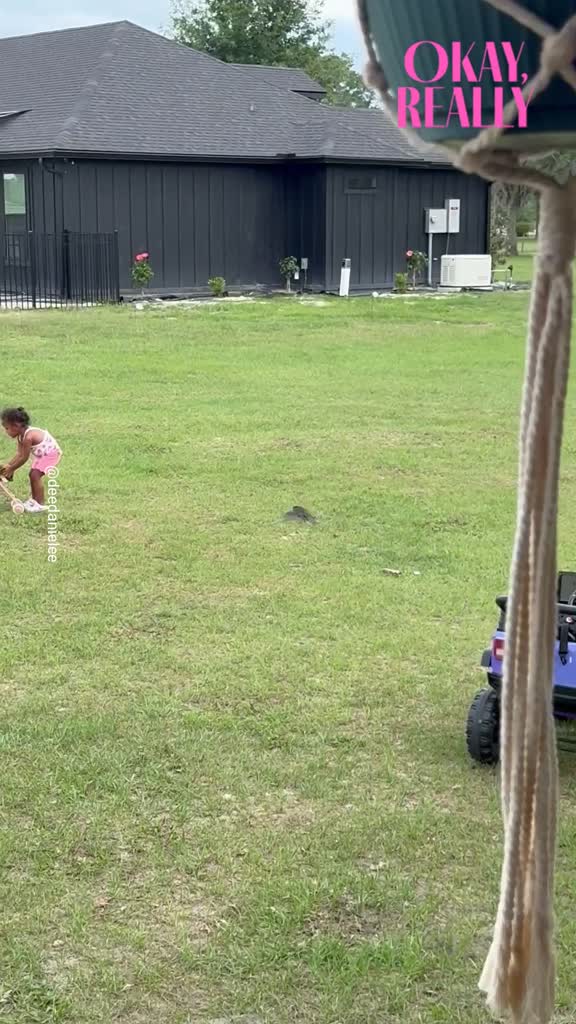 Hilarious moment bird terrorizes toddler in Florida
