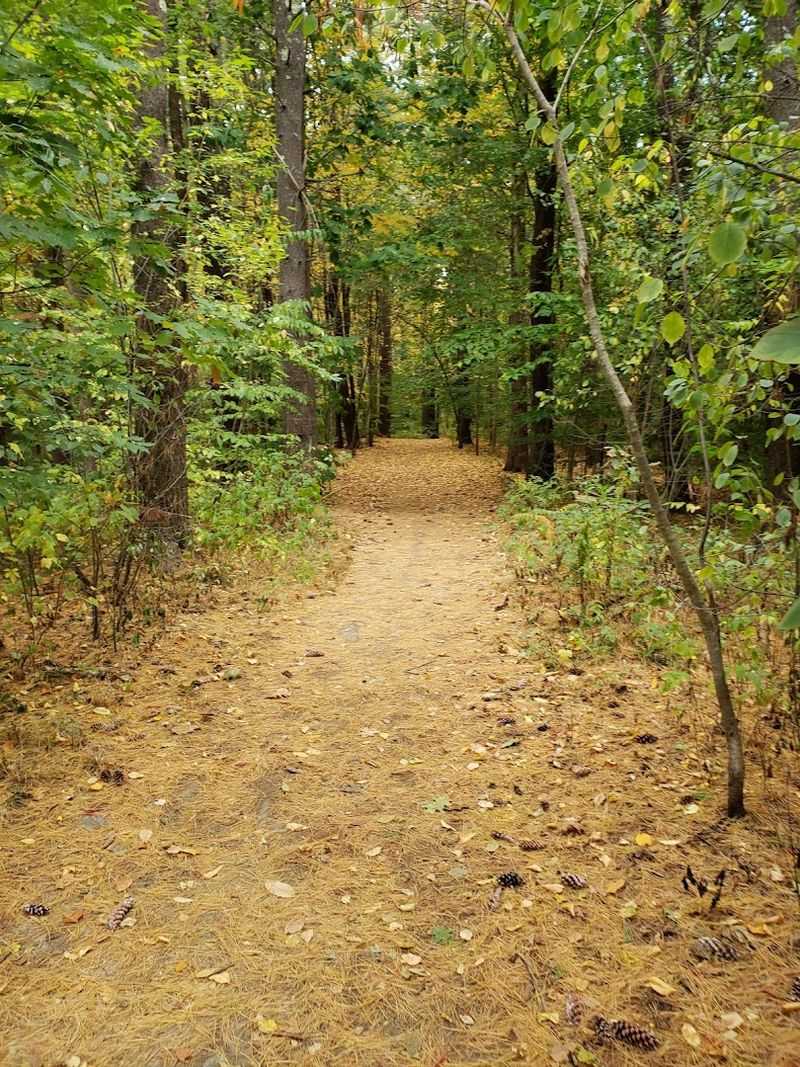 This 1.7-mile enchanted New Hampshire trail is home to a magical ...