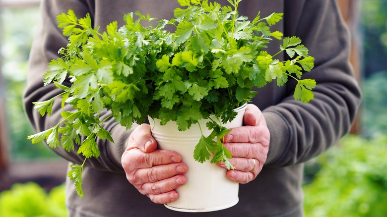 10 foods Ina Garten flat out doesn't like