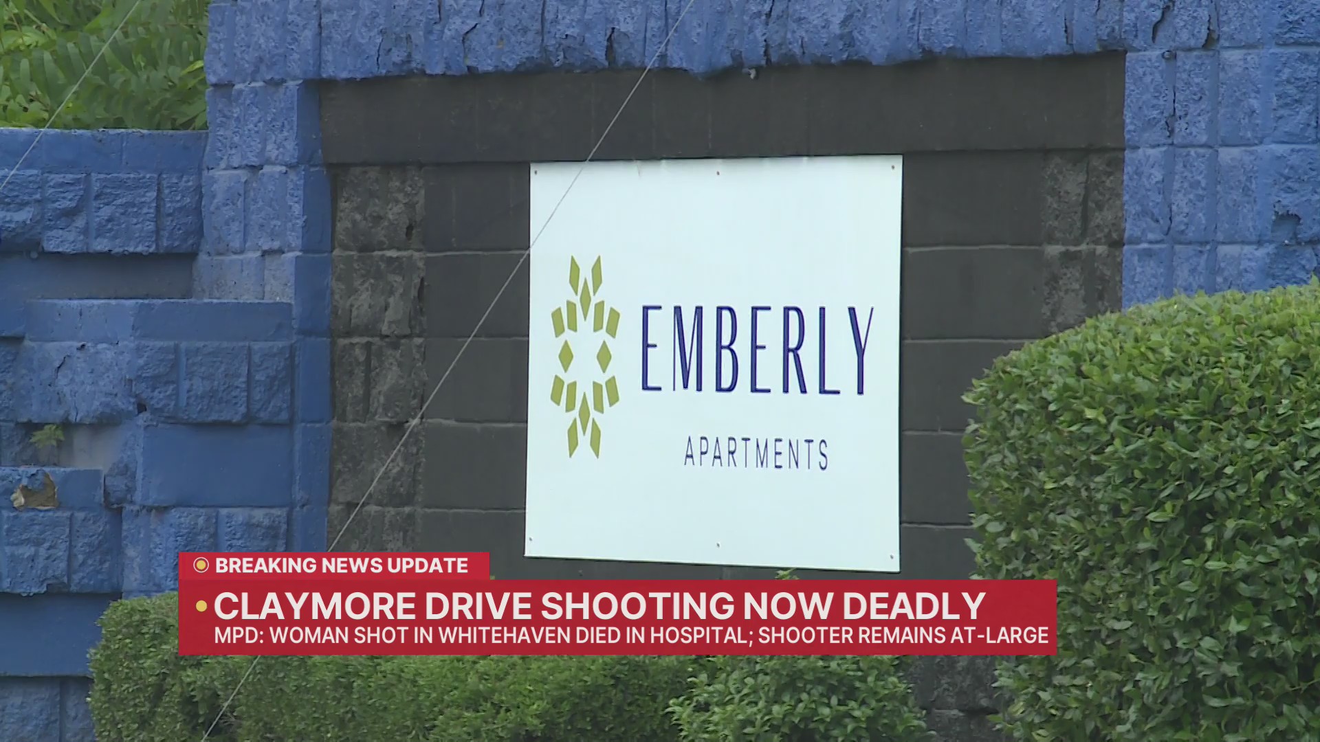 Woman killed in Whitehaven shooting; suspect flees scene