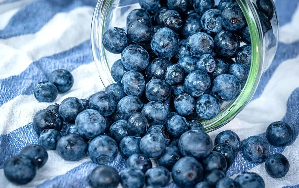 Blueberries vs blackberries for your health