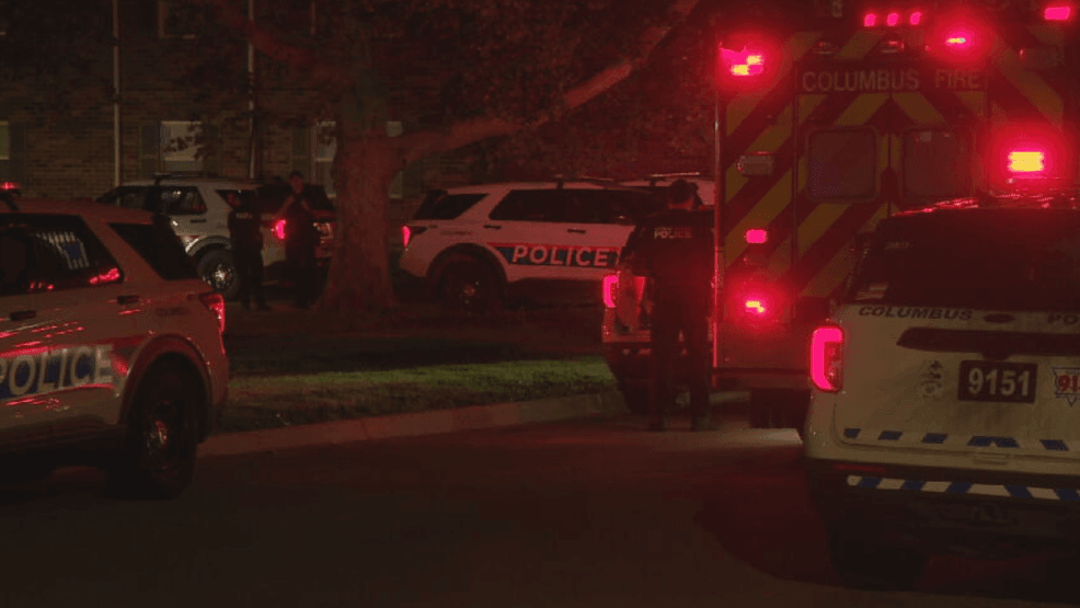 Teen suspect in custody after West Side shooting; domestic violence ...