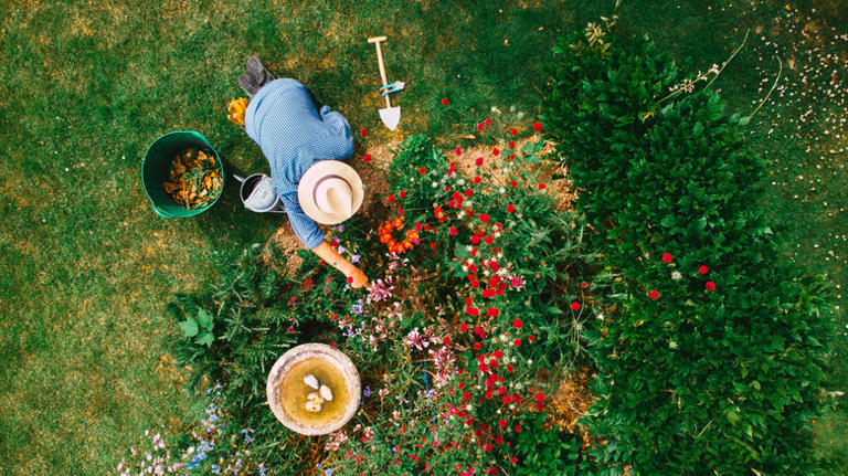 Everyone owned it in the 60s — now it's the planter we want in our gardens