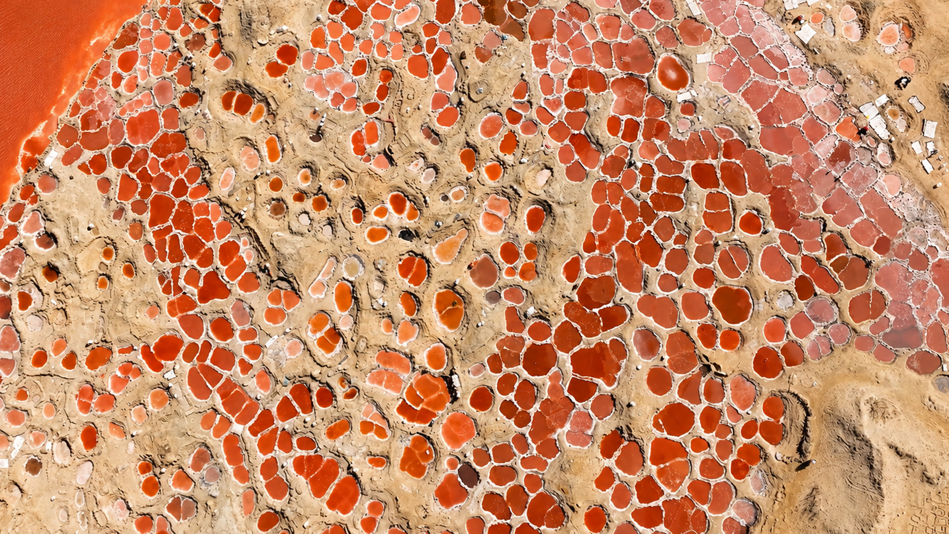 These pools look like another planet