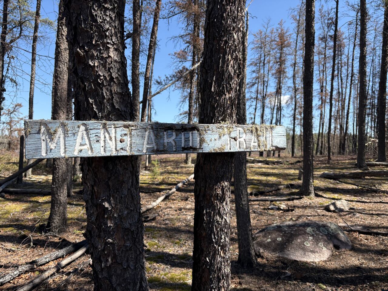 Mantario Trail expected to reopen in late June after 'remarkable ...